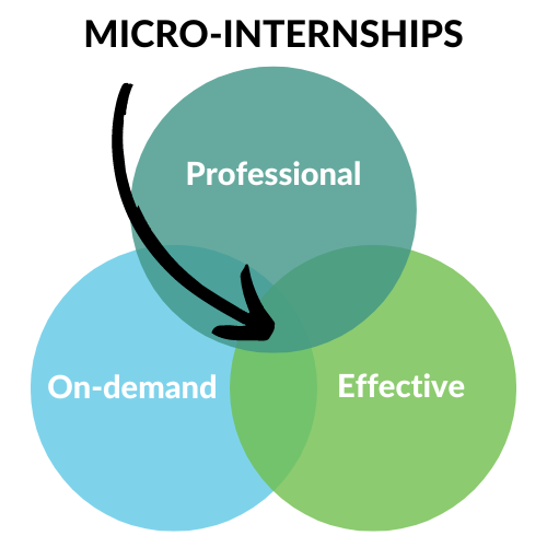 Micro-Internships Overview | Parker Dewey